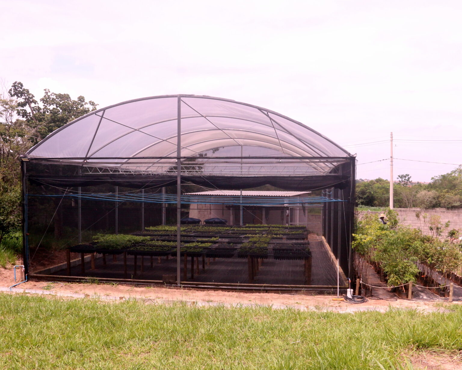 Viveiro Municipal de Mudas será inaugurado neste sábado - Jornal A ...